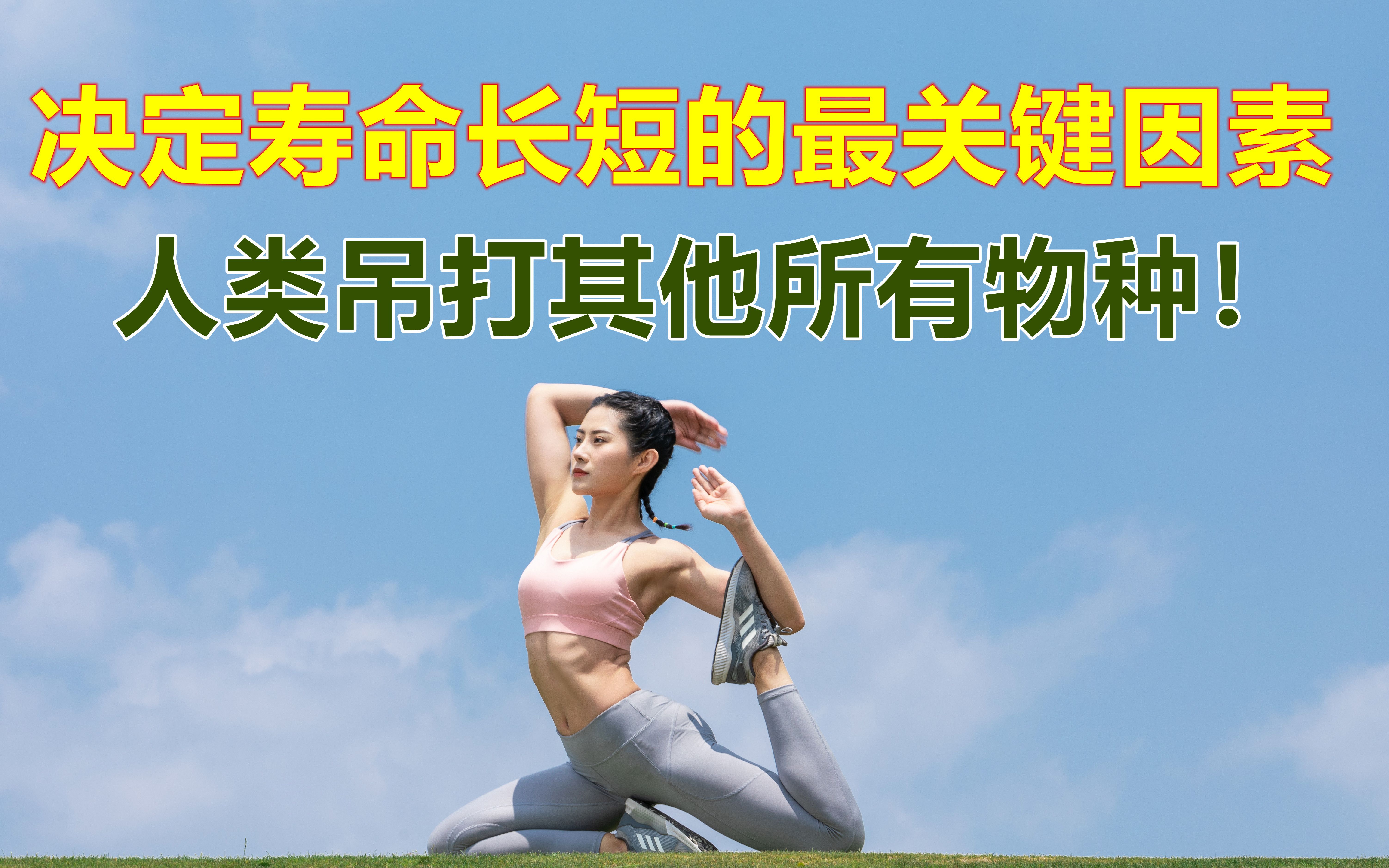 和寿命关联最大的一件事、人类却是bug一样的存在!怎么回事呢?