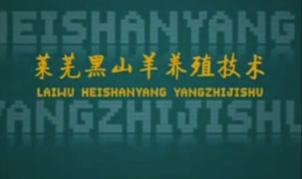 莱芜黑山羊养殖技术