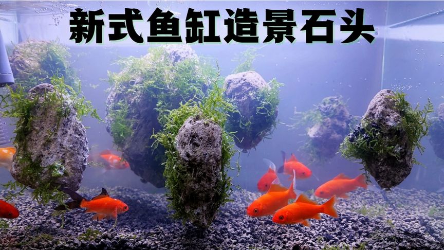 为了给鱼友一个直观的感受,我做了一个纯浮空鱼缸造景。