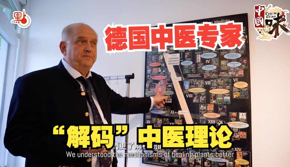 德国中医学会主席 在欧推广中医数十年:阴阳五行其实很科学