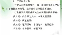 第三章 行业环境分析(一)
