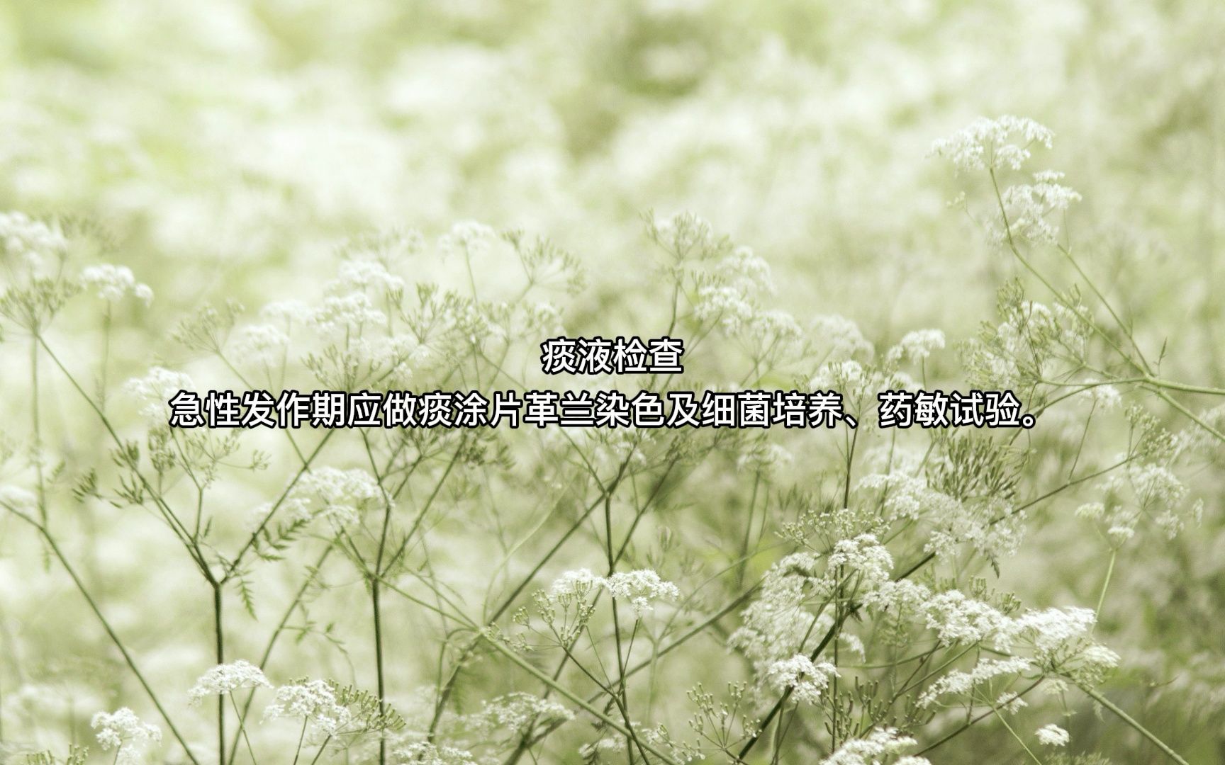 气管炎检查(2)