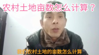 农村土地亩数怎么计算?这2种方法简单易学,耕地亩数的计算公式,没上...
