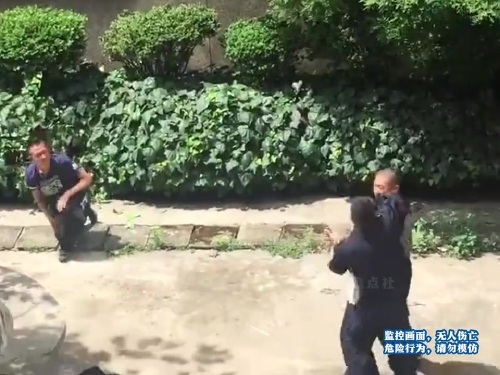 憨憨人类的倒霉瞬间,哈哈哈笑不活了,今日份功德减一!
