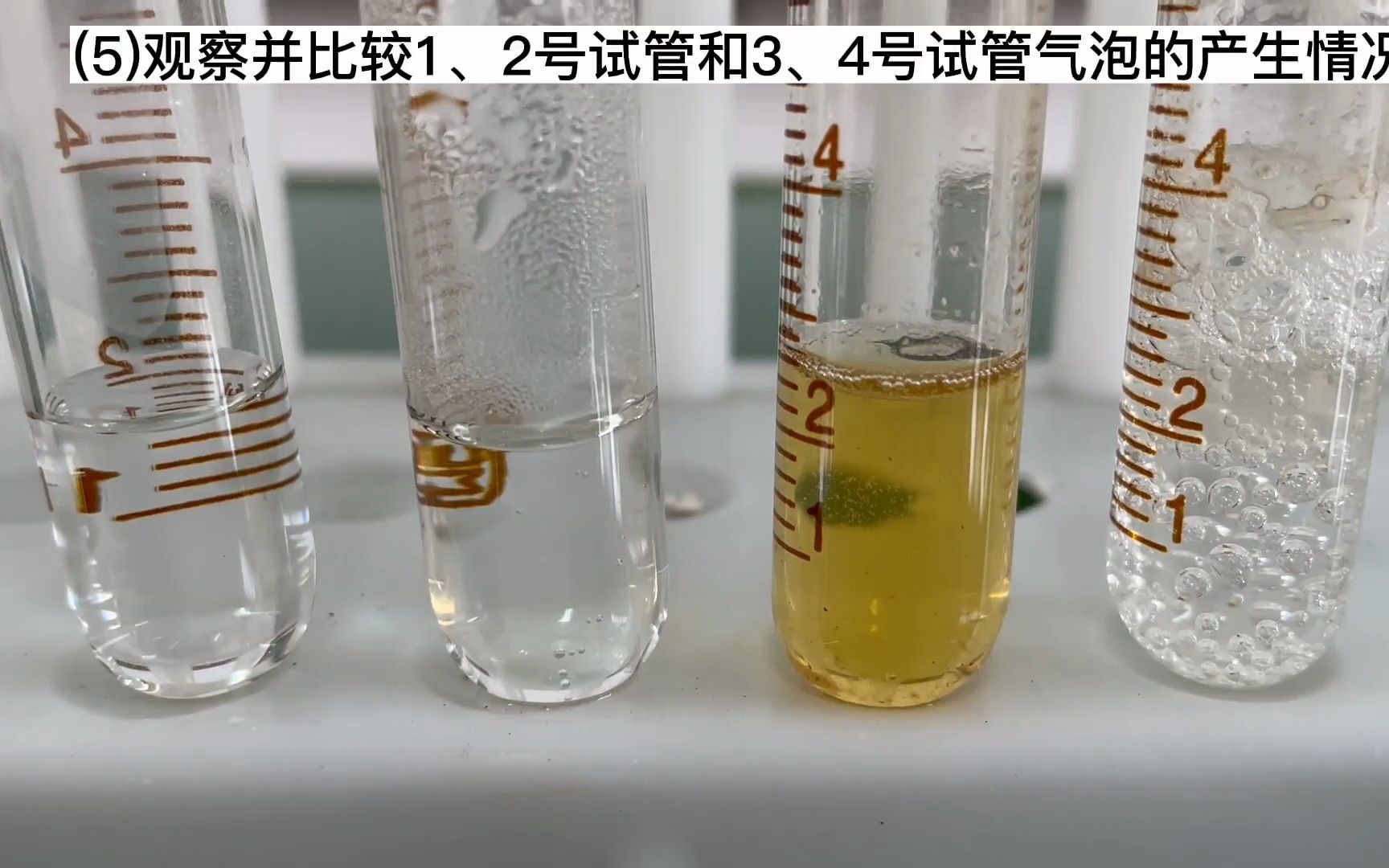 高中生物常规实验1:比较过氧化氢在不同条件下的分解