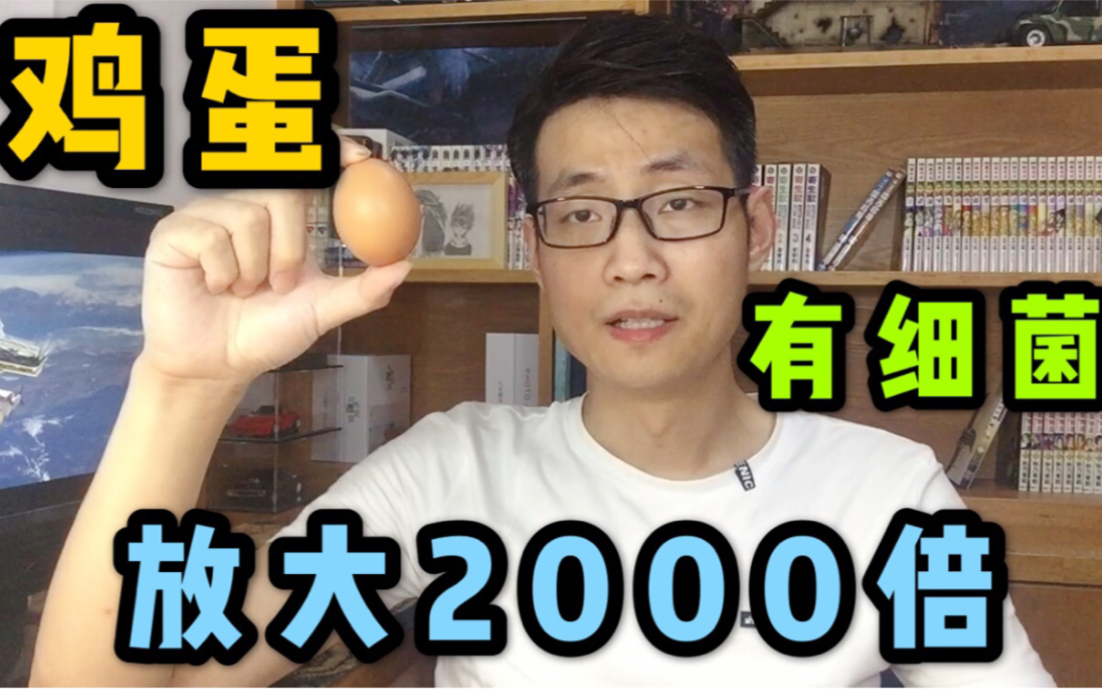 生鸡蛋里有细菌!明哥用显微镜放大给你看!
