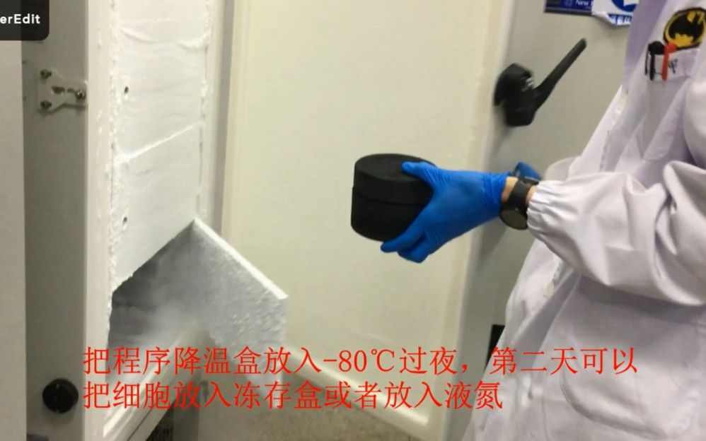 细胞培养-细胞冻存