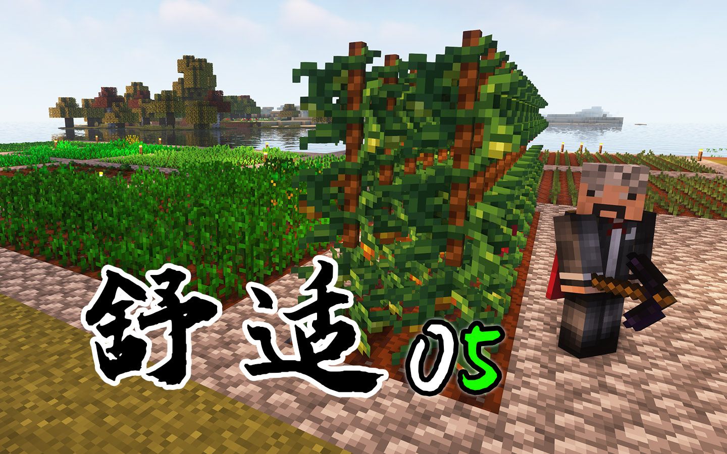 等级模组?对我来说不叫事!05-我的世界自制整合包生存