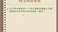 第六讲 初步认识PE格式