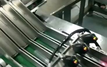 直线式凝胶机生产过程揭秘 直线凝胶灌装生产方法 医药凝胶灌装旋盖机