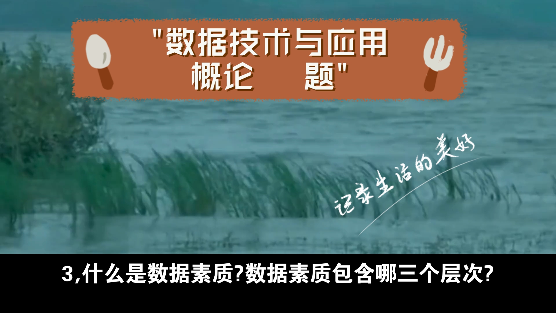 数据技术与应用概论 题