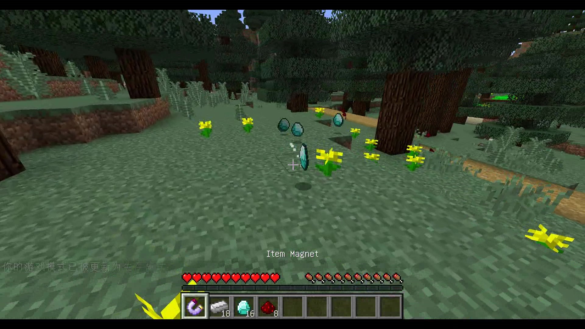 我的世界简单磁铁mod教程