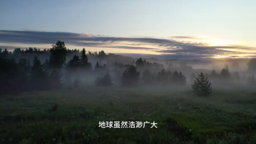 如果全球的森林都消失,对人类的影响有多大,科学家表示难以想象