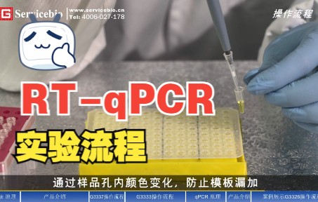 RT-qPCR实验流程