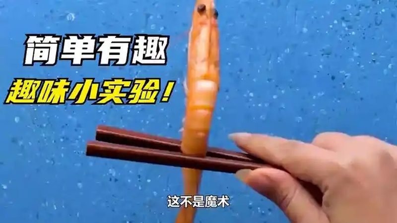 在家就能做的简单好玩的科学小实验,在家陪孩子轻松涨知识!