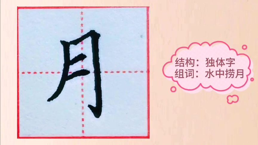 硬笔楷书单字示范,“月”的写法,轻轻松松写好汉字