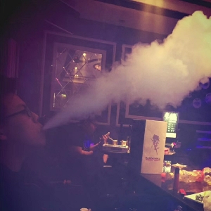 滑稽性感的吼叫 