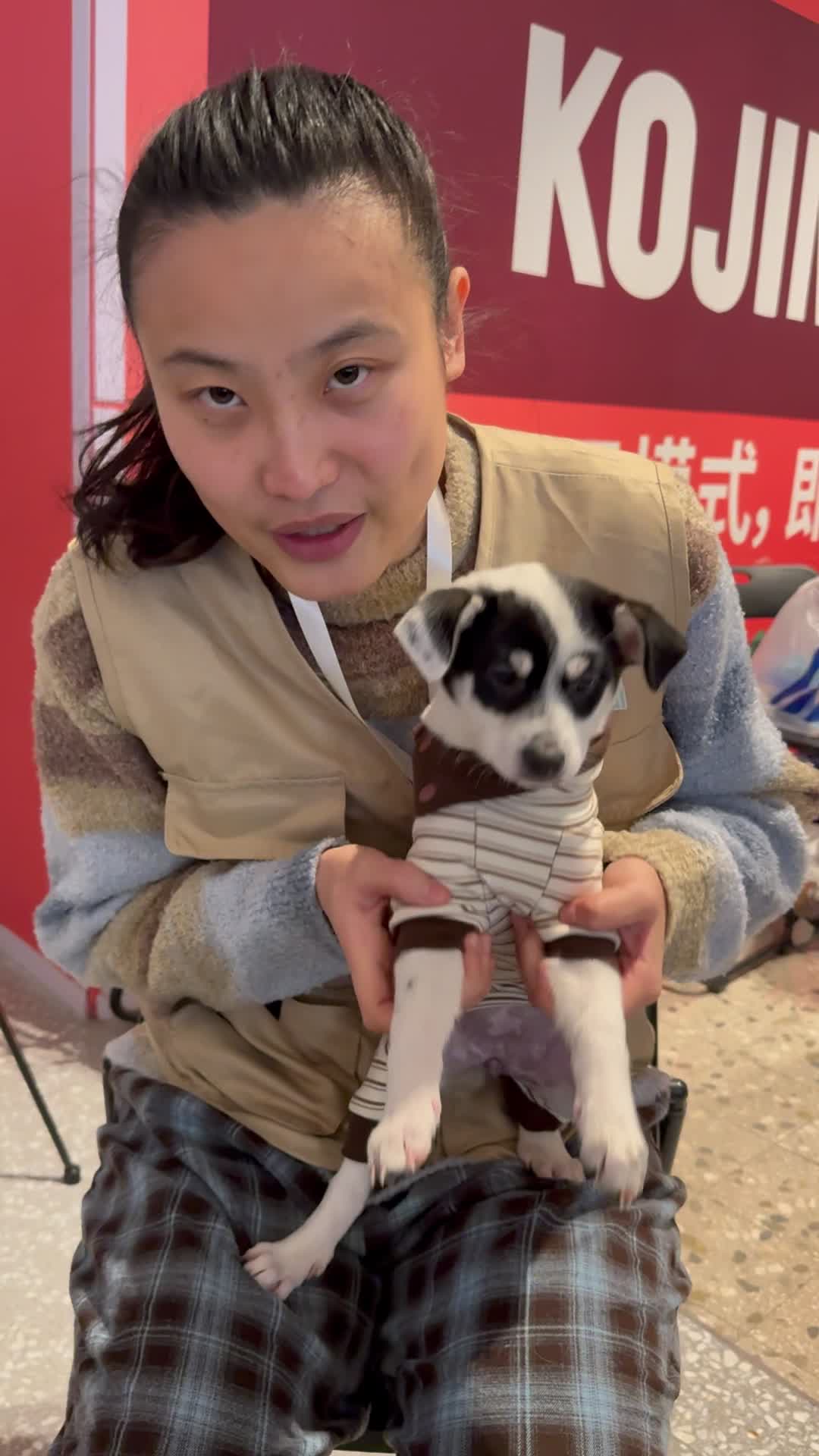 Mill是一只两个多月的妹妹,她之前也是在一个狗肉窝点里面救助的,当时...