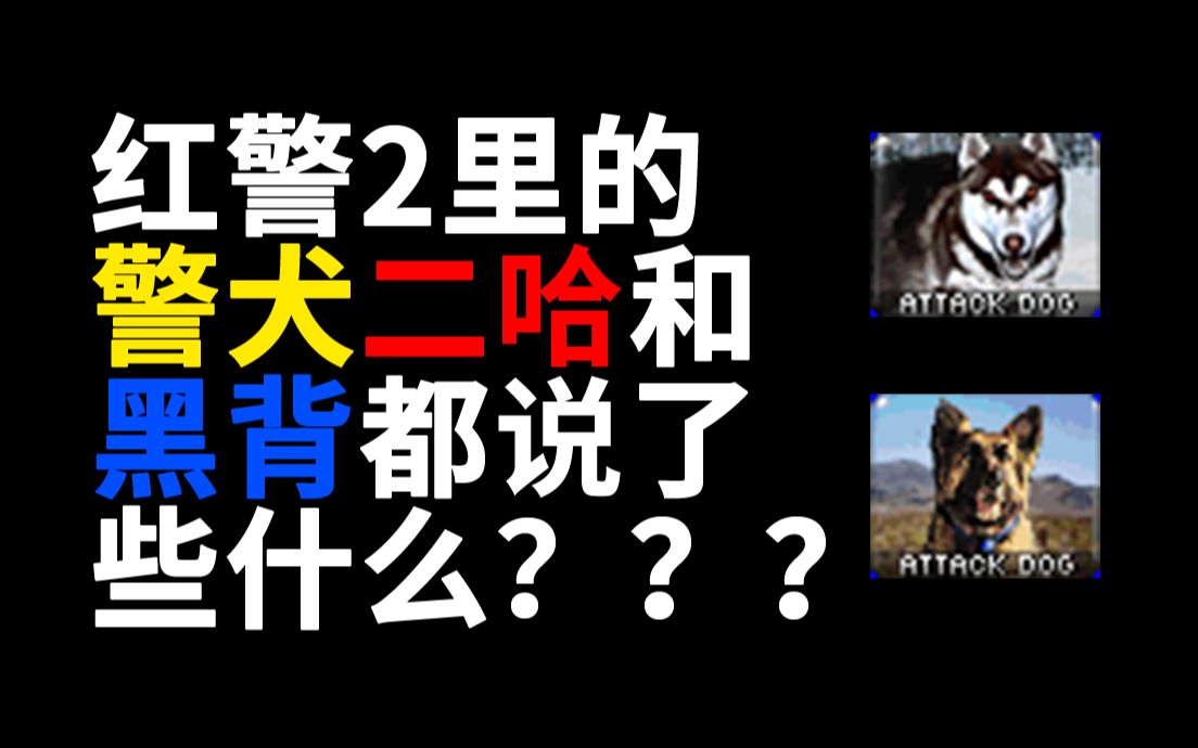 红警里的单位都说了什么?——警犬