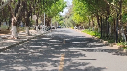 夏天的风我永远记得