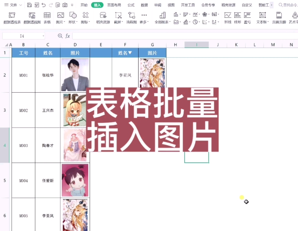 表格批量插入图片,实现动态查询!