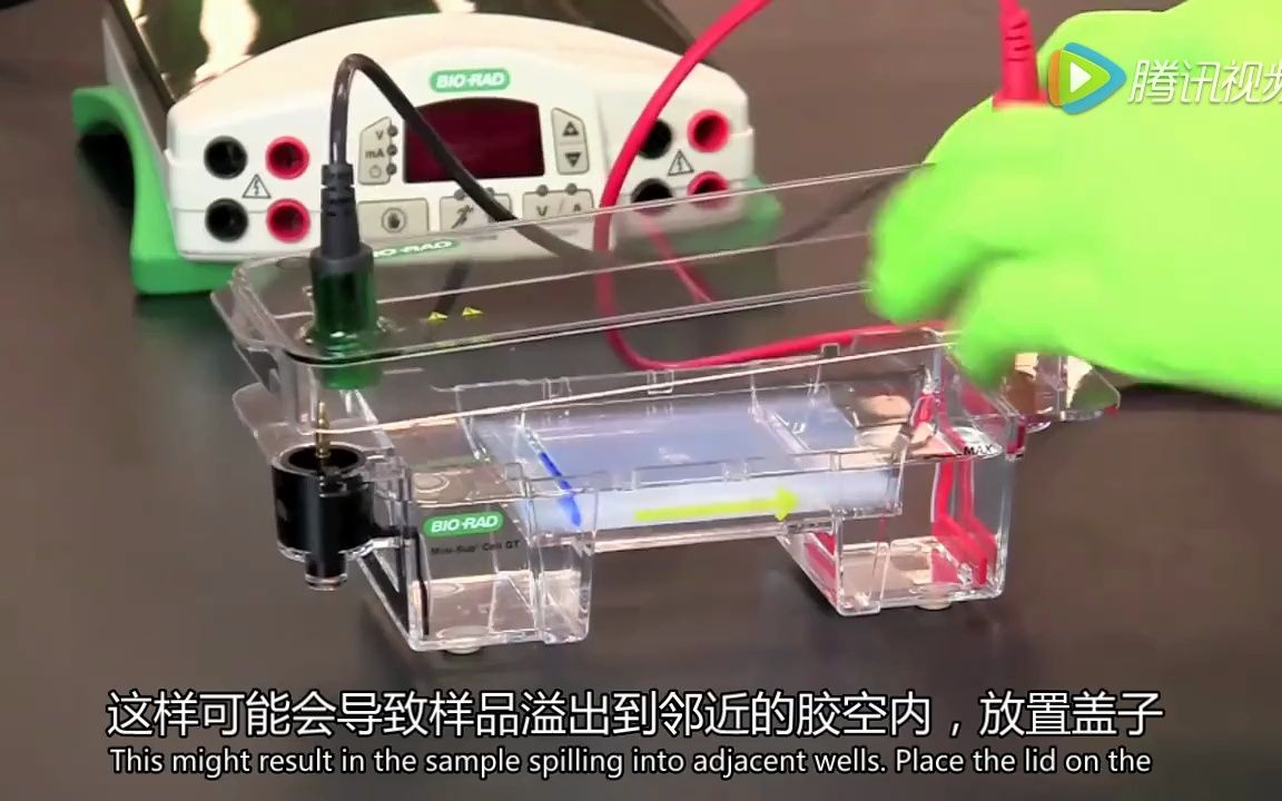 o-rad 伯乐牌经典电泳仪琼脂糖凝胶电泳实验操作