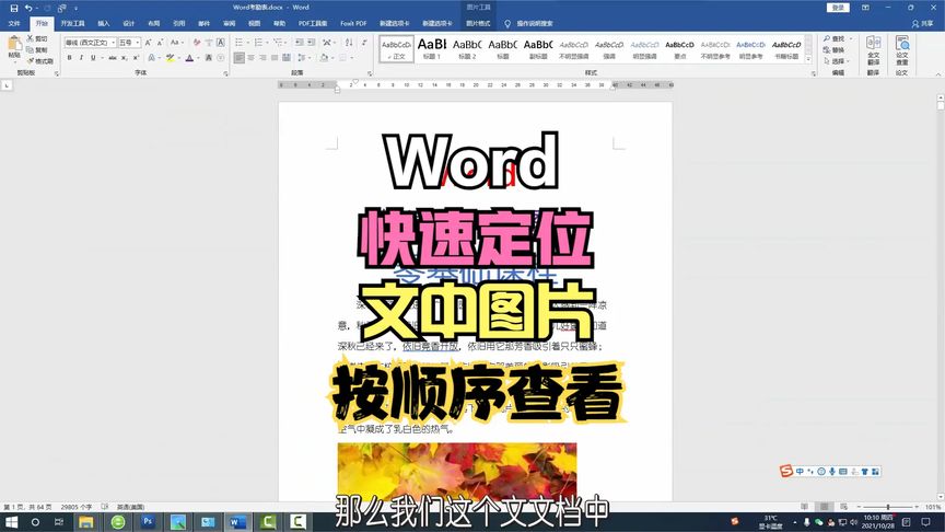 Word快速找到文中图片,按顺序依次查看,零基础教学课程!
