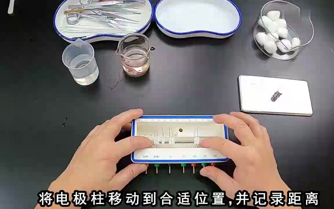 [1.4] 坐骨神经干动作电位的记录和性质分析