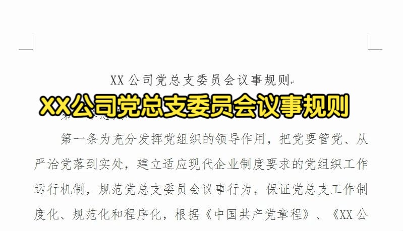 XX公司党总支委员会议事规则