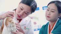 派美特宣传片 派美特宠物医院 您身边的医疗专家