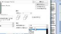 word43打印.打印预览.打印缩放.打印机选项