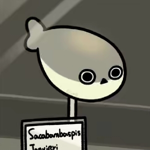 睡觉工作室首席室长 