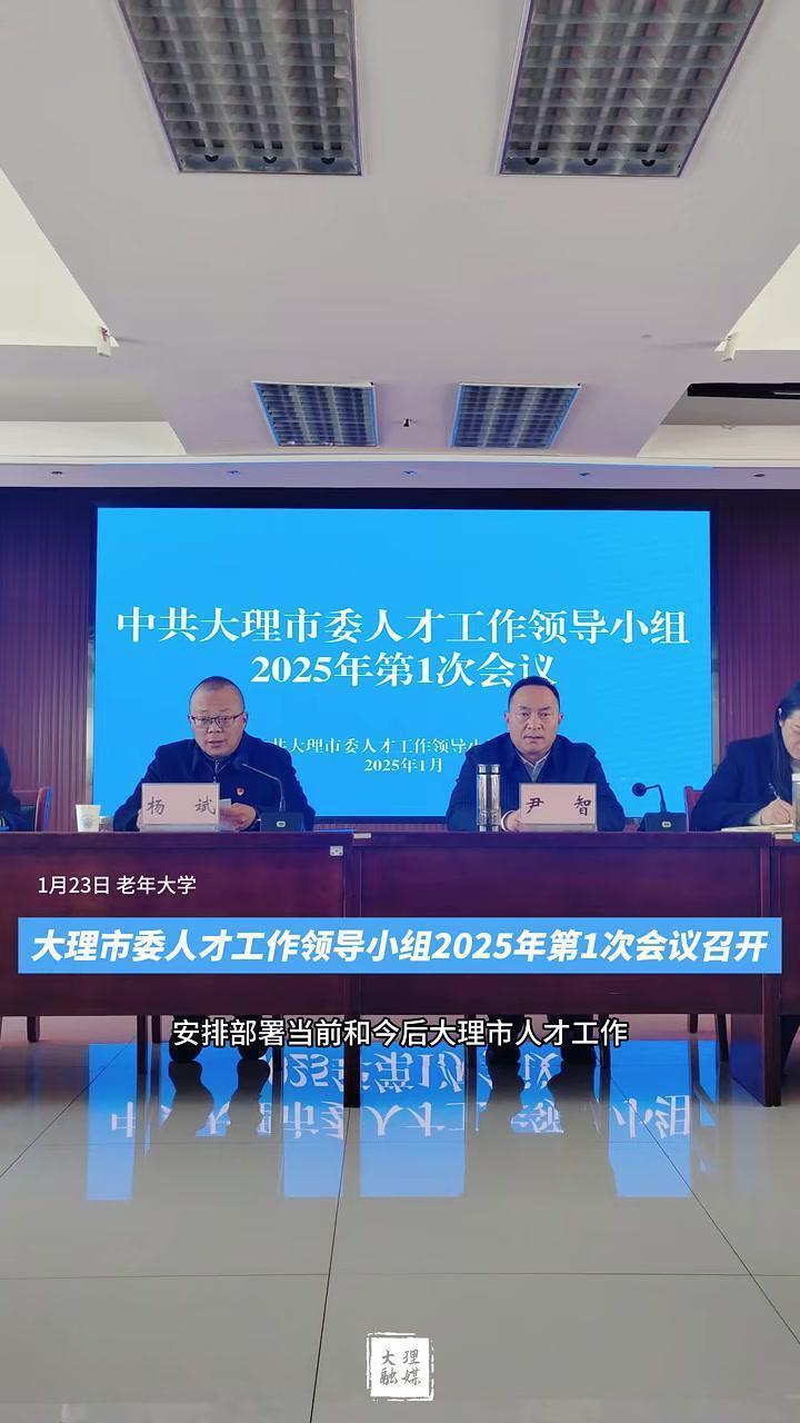 大理市委人才工作领导小组2025年第1次会议召开#人才服务