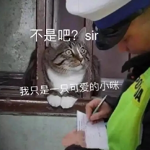 蓝莓呦呦Y 