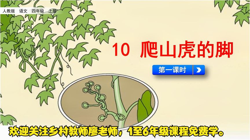 四年级上册语文《10.爬山虎的脚》第一课时#学浪计划#