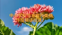 中小学校信息宣传类稿件投稿该找谁?