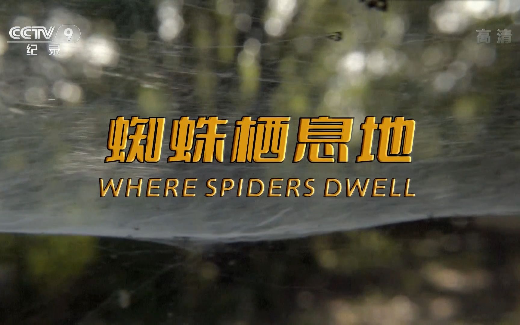 (1080P+)《蜘蛛栖息地》【全1集】