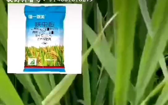 佳一蓝美 佳一药肥 水稻药肥生产厂家