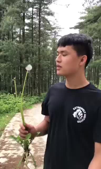 网页设计之涛涛自我介绍