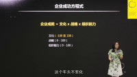 企业成功的方程式,文化、战略、组织能力。