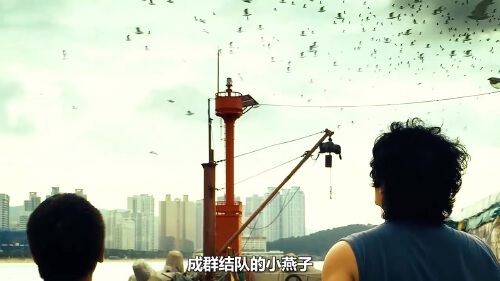 当海啸突然席卷城市,人们到底该如何逃?灾难电影