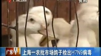 沪鸽子检出禽流感病毒