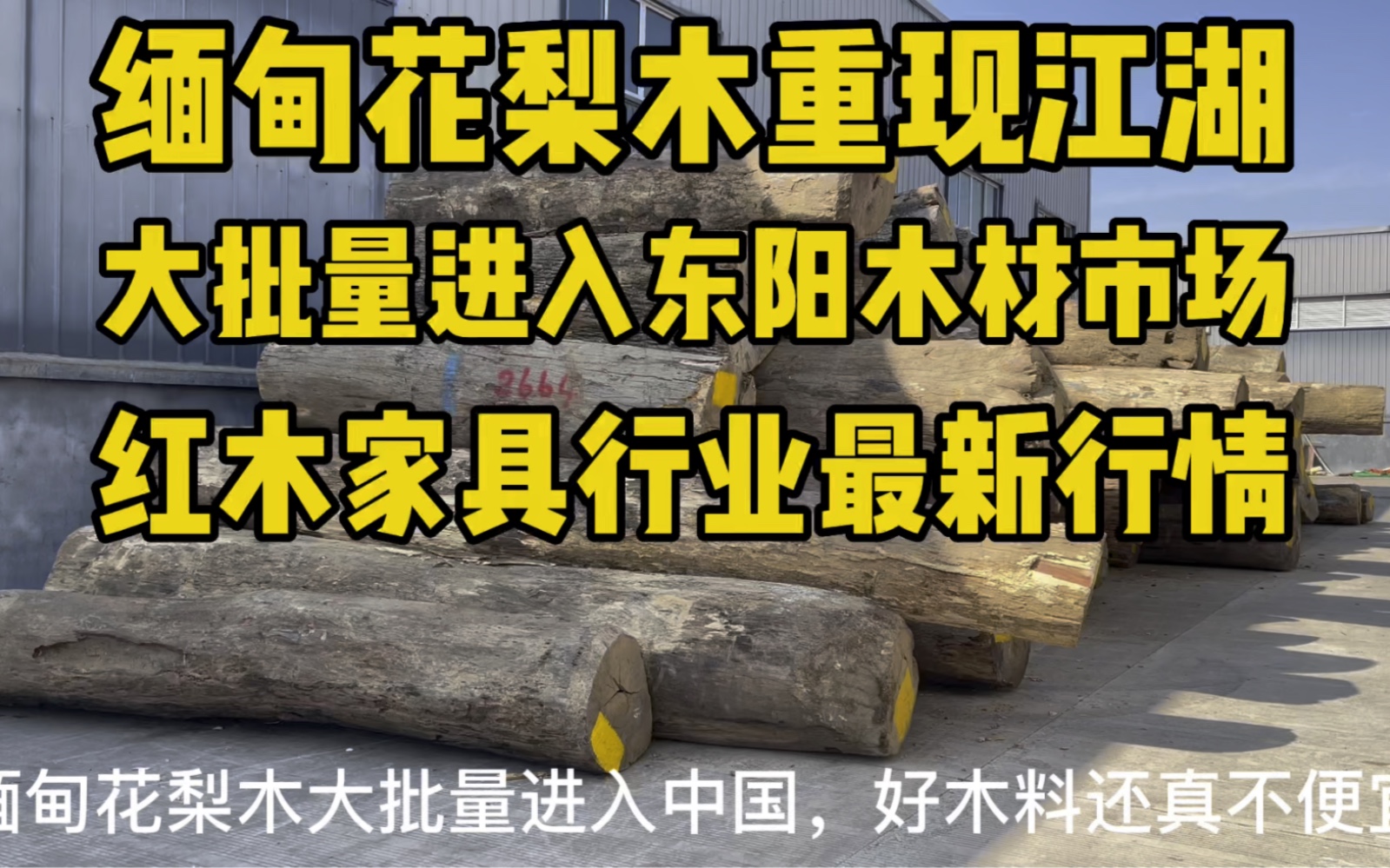 缅甸花梨木重出江湖,大量木料进入中国木材市场,红木最新行情