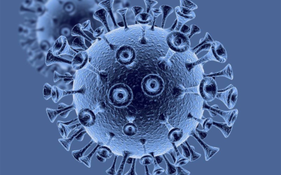 回顾上海疫情的发展历程