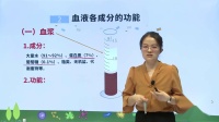 4.1流动的组织血液