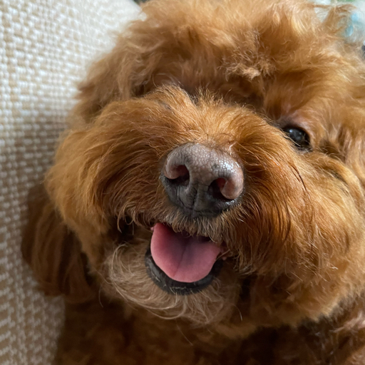 小萧算得明白账- 