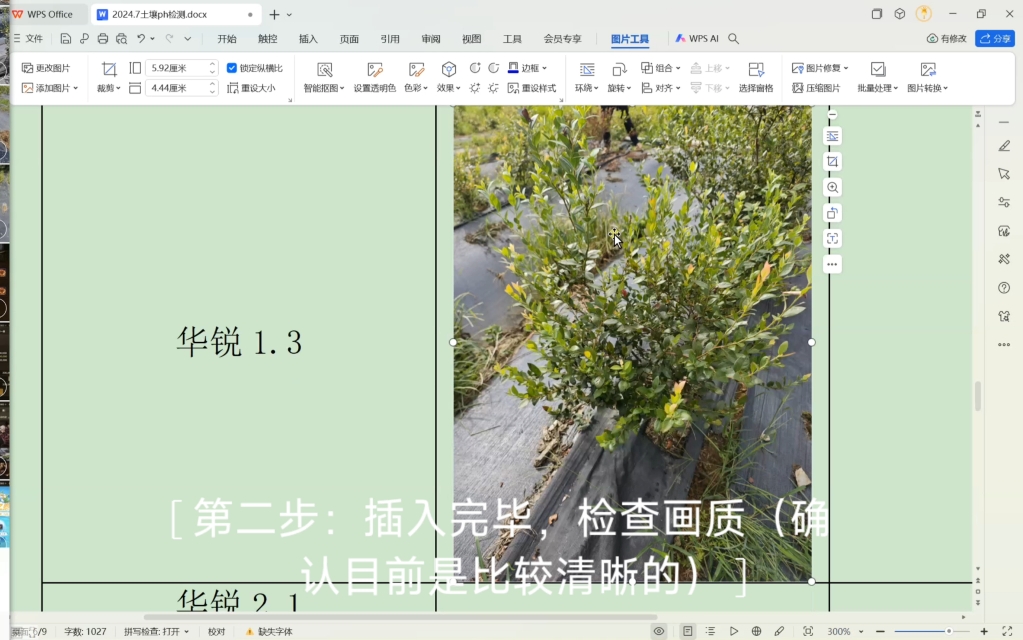 【WPS】bug反馈:文档插入图片,保存后再打开图片清晰度大幅下降!