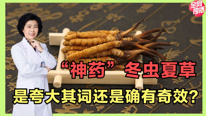 比黄金还贵的冬虫夏草,到底有哪些“神奇”功效?今天为你解惑!