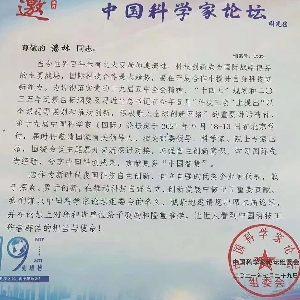 东南角三棵树 