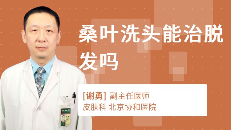 桑叶洗头能治脱发吗